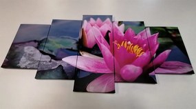 5-dílný obraz růžový lotosový květ - 200x100 cm