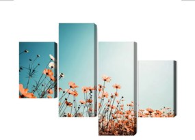 Vícedílný obraz Polní Květiny Na Slunci Nedostatek Nedostatek Přírodní plátno 80x50