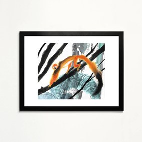 Kateřina Coufalová | Opice Rám: Černý, Velikost: 60 x 40 cm