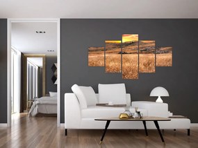 Obraz pole (125x70 cm)