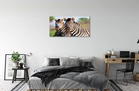 Obraz na skle zebra 140x70 cm
