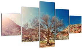 Obraz stromu v poušti (125x70 cm)