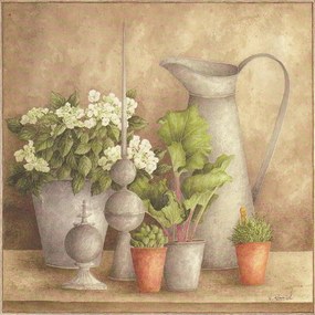 Obrázek 14x14, nádoby &amp; květiny II., rám bílý s patiou