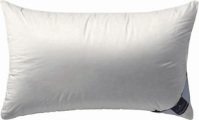 XXXLutz POLŠTÁŘ POD HLAVU, 40/80 cm Billerbeck - Polštáře pod hlavu - 003279023202