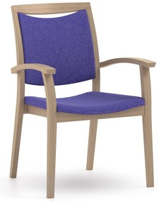 PIAVAL - Židle FANDANGO 33-23/1 větší s područkami