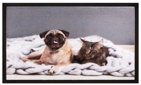 Vnitřní čistící vstupní rohož FLOMA Image Cat&amp;Dog - 40 x 60 x 0,5 cm