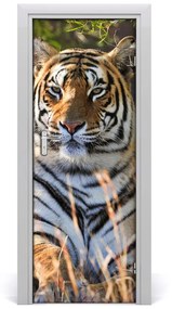 Samolepící fototapeta na dveře Tygr 95x205 cm