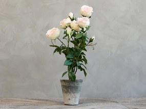 Dekorace umělá růžová růže v květináči Old - 52 cm