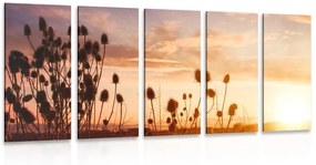 5-dílný obraz stébla trávy při východu slunce