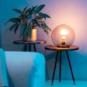 Niceboy ION SmartBulb RGB E27 12W / LED RGB / E27 / 12W / 1050 lm / 27