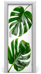 Fototapeta na dveře Monstera 95x205 cm