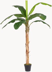 Exteriérová umělá rostlina Banana