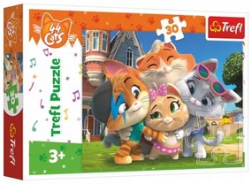 Puzzle Přátelství v zemi koček/44 cats 27x20cm 30 dílků v krabičce 21x14x4cm