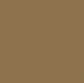 Lentex, PVC podlaha - lino Flexar PUR 603-06 hnědá, na míru, šíře 2m,4m, hnědá, bez podkladu, kancelář