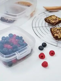 Curver Snap Box dóza na potraviny 0.9 l čirá