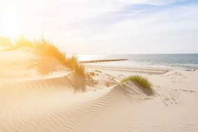 Fototapeta Pláž Mořské Duny Omyvatelný vlies 90x60