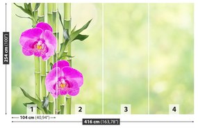 Fototapeta Orchidej a bambus 104x70