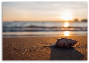 Obraz na plátně Shell Beach Mořský písek - 120x80 cm