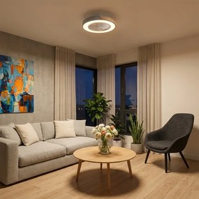 Brilagi - LED Stmív. svítidlo s ventilátorem LED/38W/230V 50 cm šedá/dub + DO