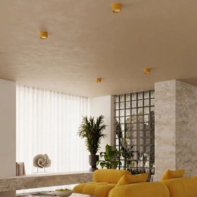 Sollux Lighting Stropní svítidlo MODO 1 žluté GX53