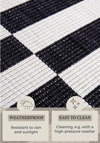 Černobílý vnitřní a venkovní koberec 200x290 cm Viela – Hanse Home