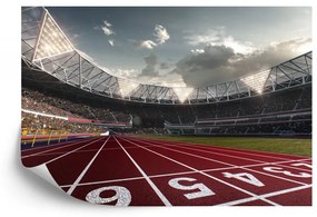 Fototapeta Startovní Místa Závodu Na Stadionu Hladký vinyl 360x240