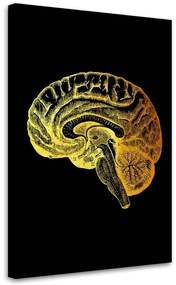 Gario Obraz na plátně Zlatá anatomie, mozek - Gab Fernando Rozměry: 40 x 60 cm