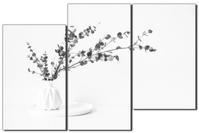 Obraz na plátně - Větev eukalyptu v bílé váze na bílém pozadí 1272QD (135x90 cm)