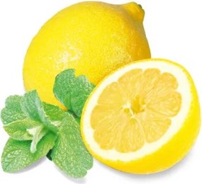 Sentiotec esence do sauny máta a citrón 100ml