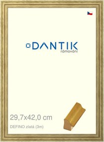 DANTIK rámeček 29,7x42 | DELFINO zlatá (Plexi Čiré)