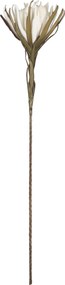 XXXLutz UMĚLÁ KVĚTINA 108 cm Ambia Home - Umělé květiny - 0033240070