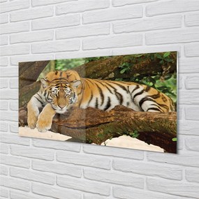akrylový obraz tiger tree 125x50 cm