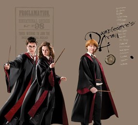 Textilní závěs Harry Potter FCSXL 6607 - 180 x 160 cm