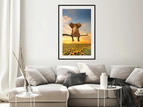 Plakát Slon a slunečnice
