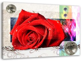 Obraz na plátně Abstrakce červené růže - 100x70 cm