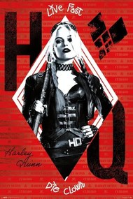 Plakát, Obraz - The Suicide Squad - Harley Quinn, (61 x 91.5 cm)