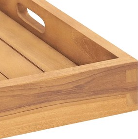 vidaXL Servírovací podnos 60 x 60 cm masivní teakové dřevo [315458]