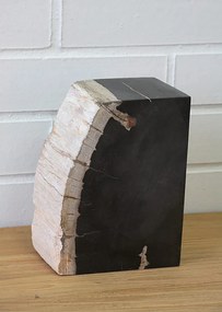 Zarážka na knihy - zkamenělé dřevo
