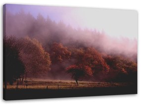 Obraz na plátně Stromy v mlze Příroda - 60x40 cm
