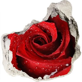 Wallmuralia Samolepící nálepka na zeď Kapky na růži 75x75 cm