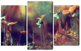 Vícedílný obraz Jemné Rostliny V Makro Měřítku Nedostatek Nedostatek Plátno Canvas 90x60