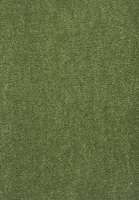 Lano - koberce a trávy Neušpinitelný kusový koberec Nano Smart 591 zelený - 80x150 cm