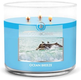 Goose Creek Candle svíčka Ocean Breeze, 411 g
