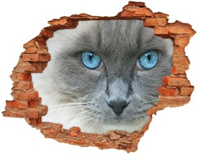 Wallmuralia Díra 3D fototapeta na stěnu Koška modré oči 90x70 cm