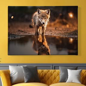Obraz na plátně - Mládě vlka v louži FeelHappy.cz Velikost obrazu: 120 x 80 cm
