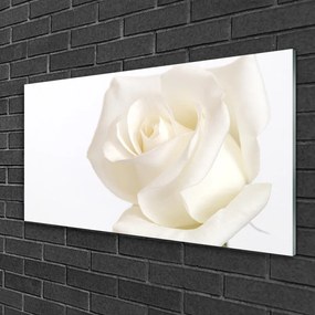 Obraz na skle Růže Květiny 120x60 cm