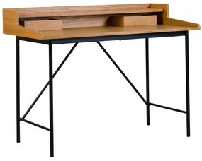 OnaDnes -20% Přírodní dřevěný psací stůl Quax Hai-No-Ki 120 x 60 cm