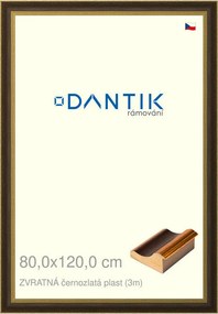 DANTIK rámeček 80x120 | ZVRATNÁ černozlatá plast (Plexi Čiré)