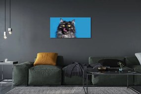 Obrazy na plátně Oblizujący kočka 125x50 cm