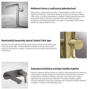 Deante Silia, 4-otvorová vanová baterie pod omítku se sprchovou soupravou, ocelová, DEA-BQS_F18P
